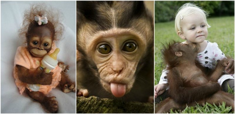 Paradoxoff Planet – A Collection of Wonders