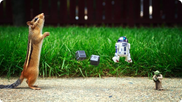 Star Wars’ Chipmunks | paradoxoff